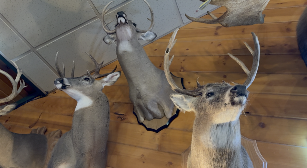 Hunters miss camaraderie of pre-digital deer tagging