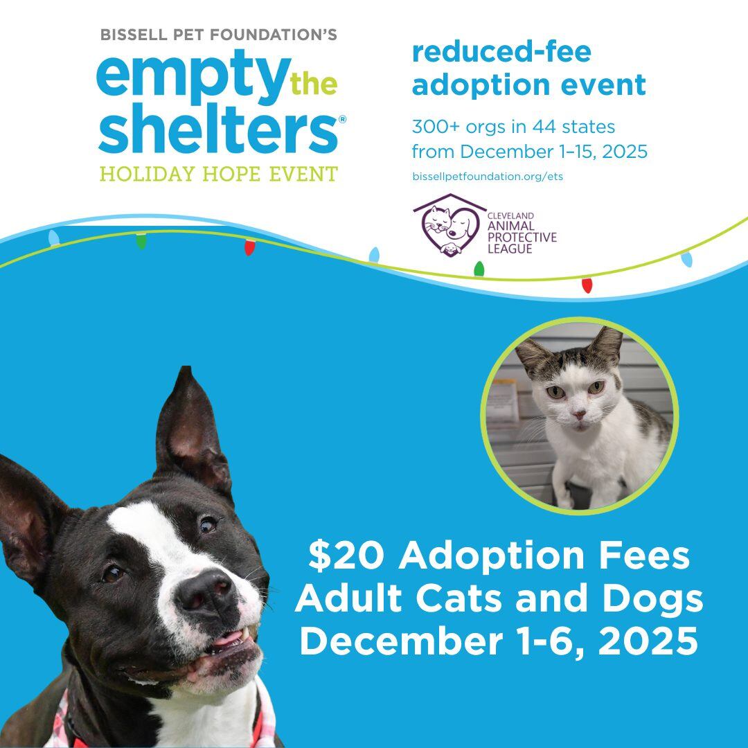 ‘Empty the Shelters’: Cleveland APL reduces adoption fees for adult ...