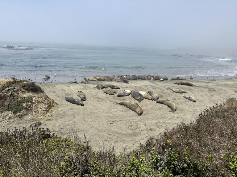 How to Spend Two Family-Friendly Days on California's Central Coast