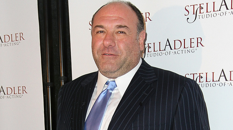 The Heartbreaking Detail Found In James Gandolfini's Autopsy Report