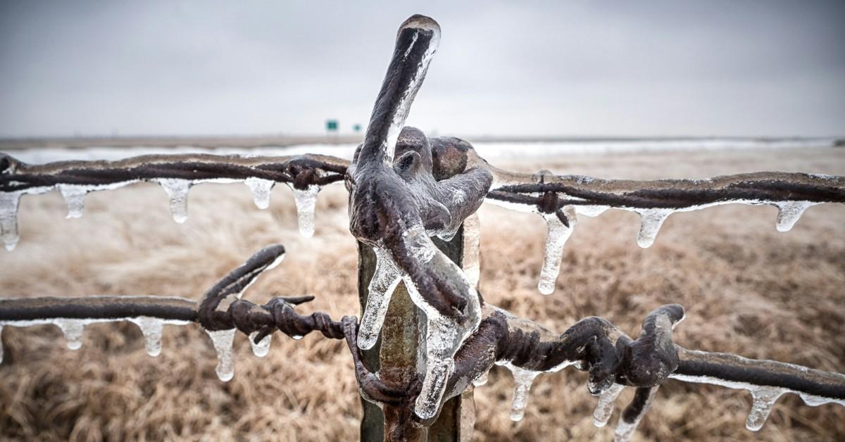 What’s the Difference Between Meteorological Winter and Astronomical ...