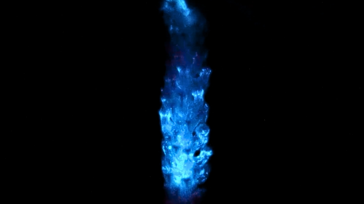 Bioluminescence on Earth Evolved Over 500 Million Years Ago, Study Finds