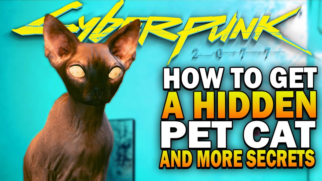 Unlock the Secret Pet Cat and Hidden Secrets in Cyberpunk 2077
