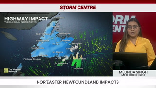 Heavy Snow, Ice Pellets, and 90 km/h Winds Target Newfoundland