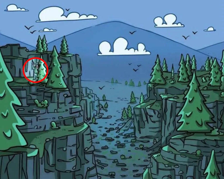 Optical Illusion: Everyone can see the trees but can you spot the ...