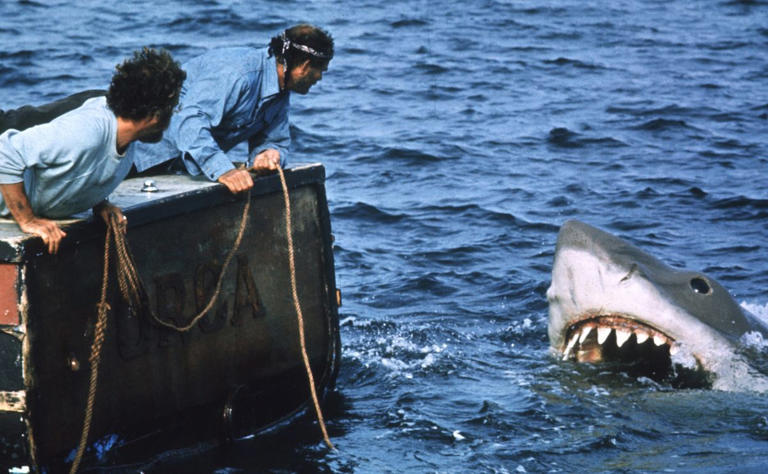 Hollywood’s Wildest Productions: Inside the Most Out-of-Control Movie Sets