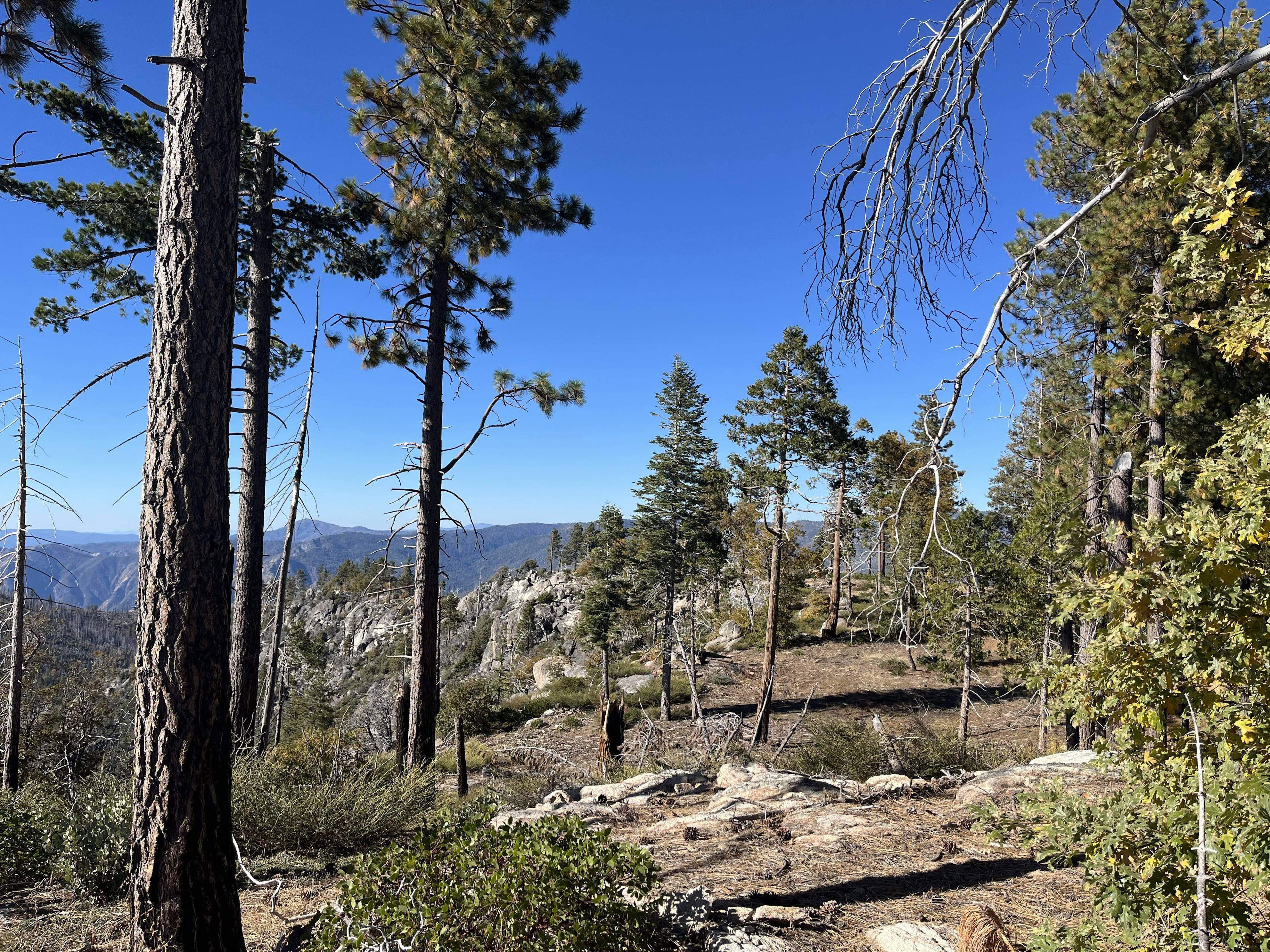 Native American tribe reclaims 900 acres of Yosemite National Park in ...