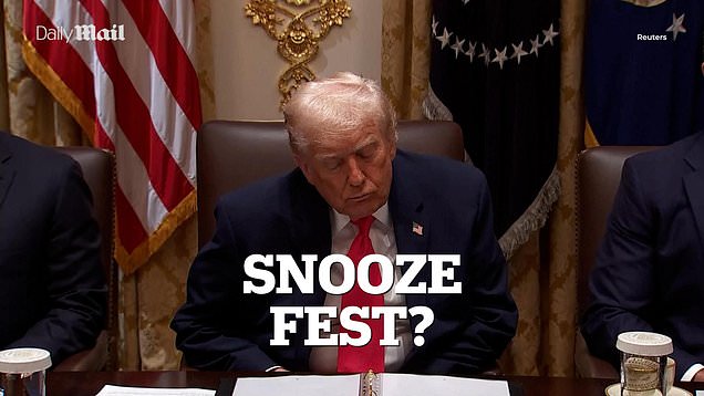 Trump accused of falling asleep during cabinet meeting