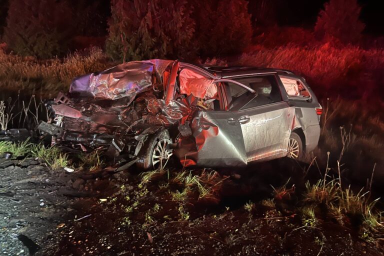 Family of Monroe woman killed in U.S. 2 crash sues WSDOT for $50 million