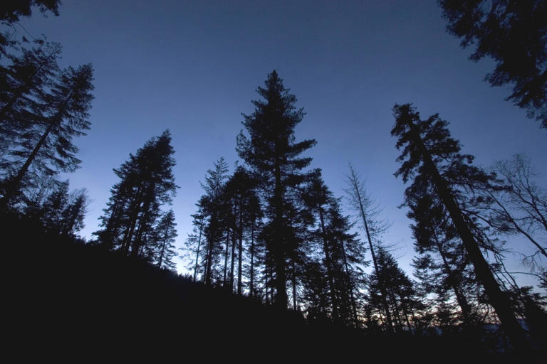 Native American tribe reclaims 900 acres of Yosemite National Park in ...