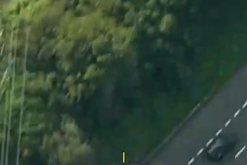 'Clown' on motorbike raced round Swansea for 90 minutes while police ...