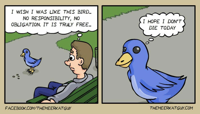 45 Of The Funniest Animal Comics Shared By Our Community