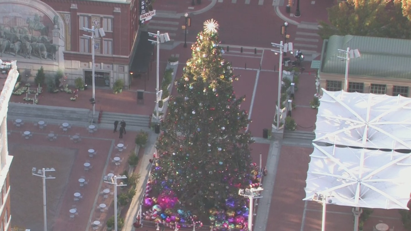 Countdown to 79th Christmas tree lighting in Sundance Square