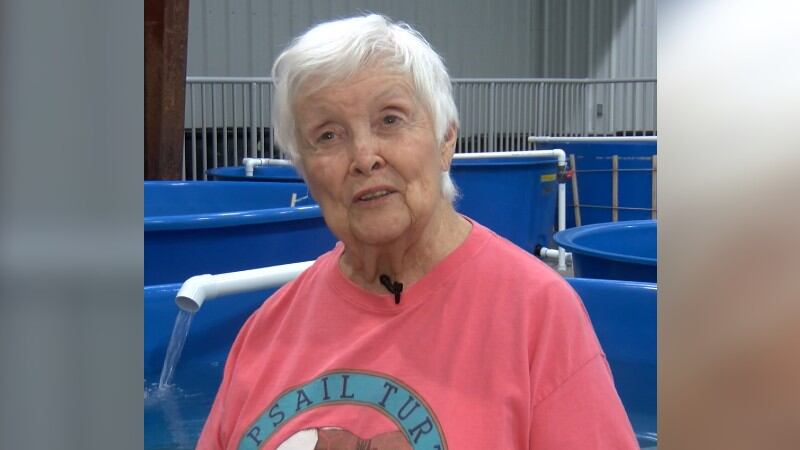 Founder of Karen Beasley Sea Turtle Rescue dies at 90