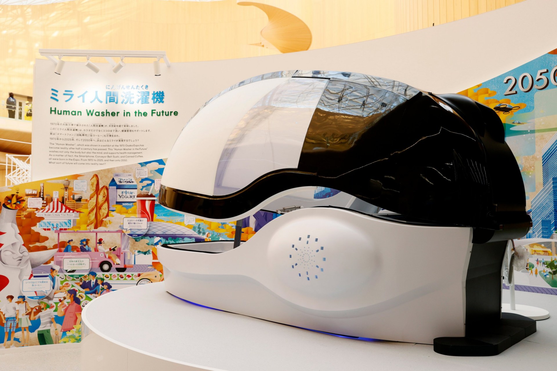 Human washing machine you can buy for only £300,000