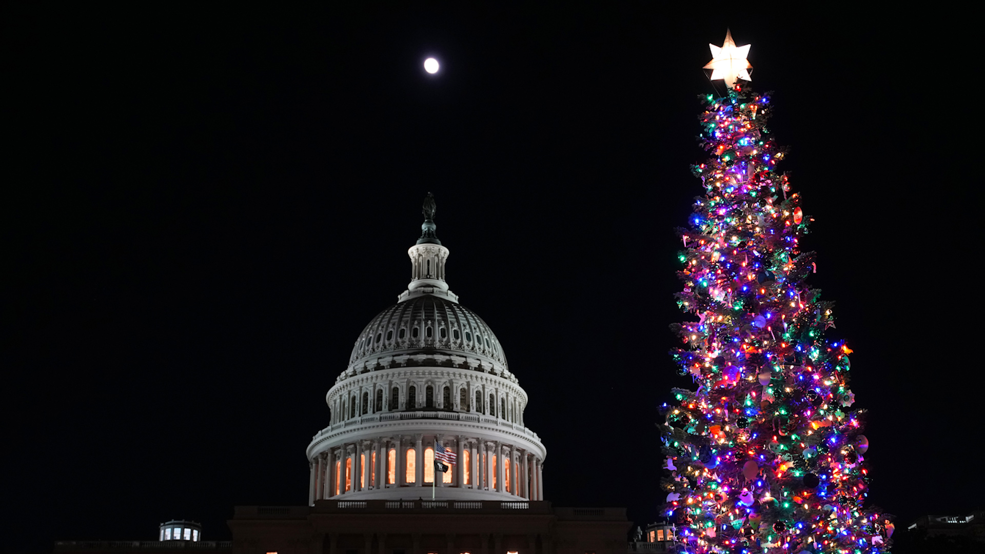 Speaker Mike Johnson Lights 53-Foot Capitol Christmas Tree