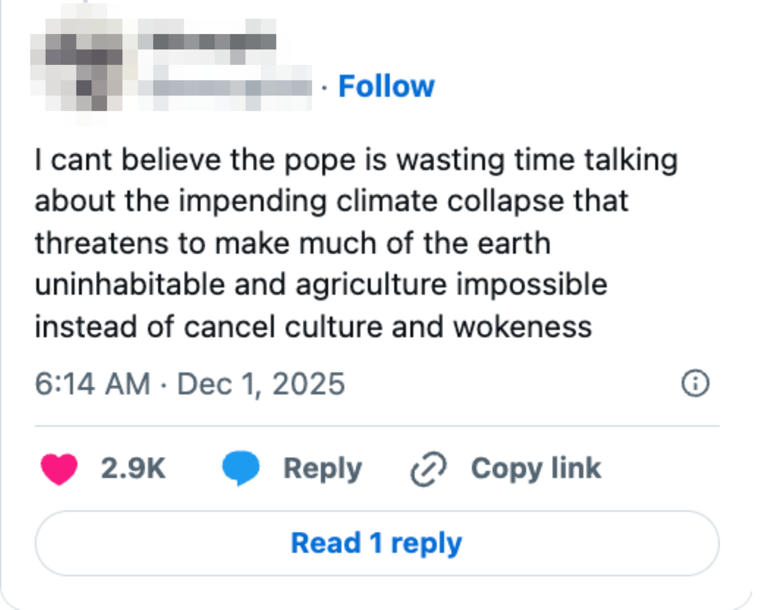 Honey, People Are Mad At The Pope For Being Woke Again