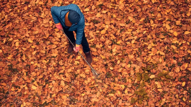 Two Important Lawn Care Tasks You Don't Want To Forget Doing Before ...