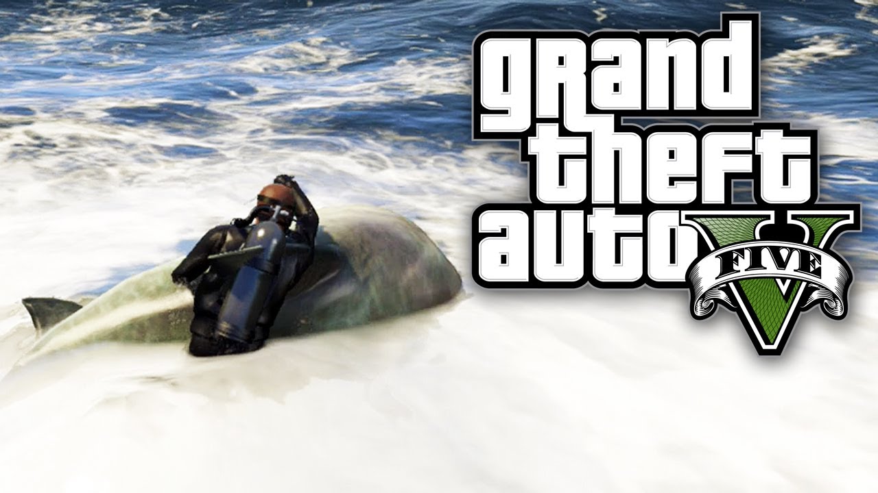GTA 5 - 1v1 against a shark! (GTA V)