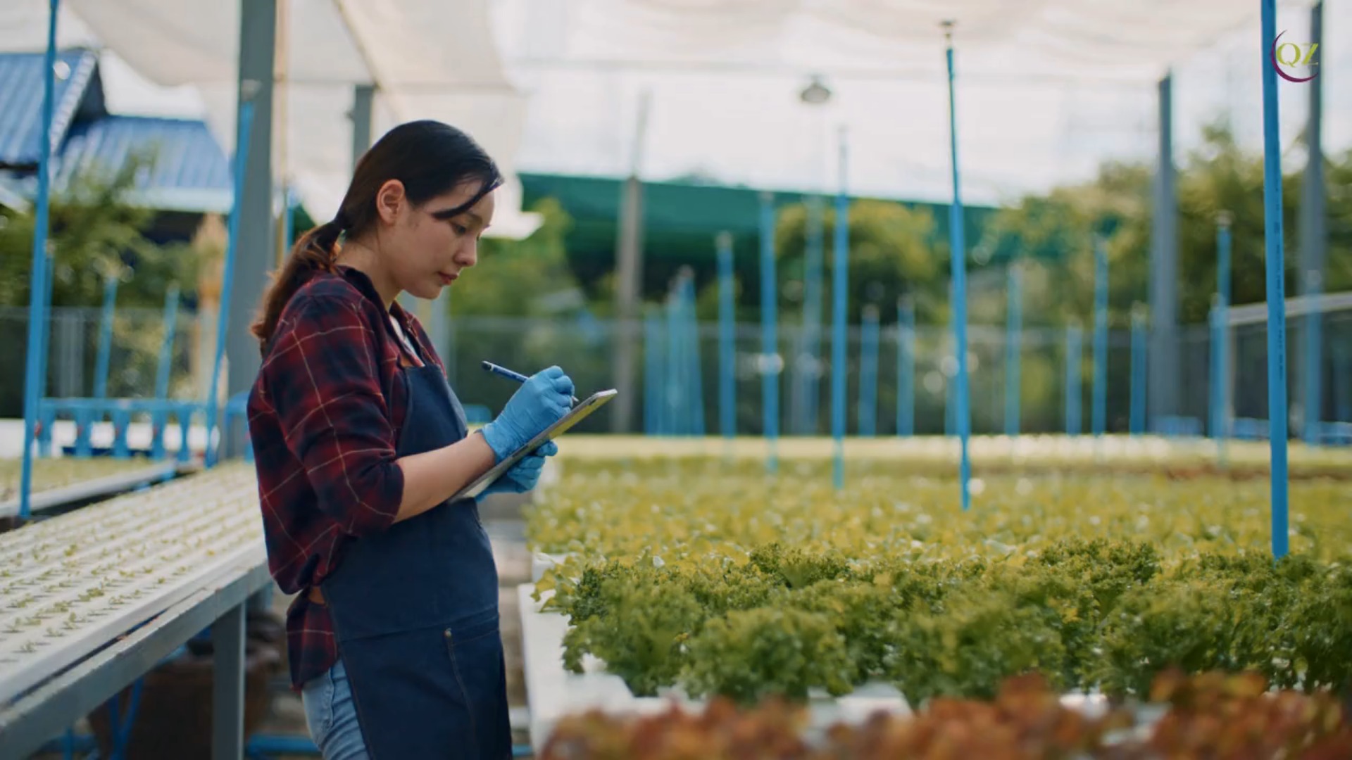 10 Jobs That Require Little Experience but Pay Over $50 per Hour