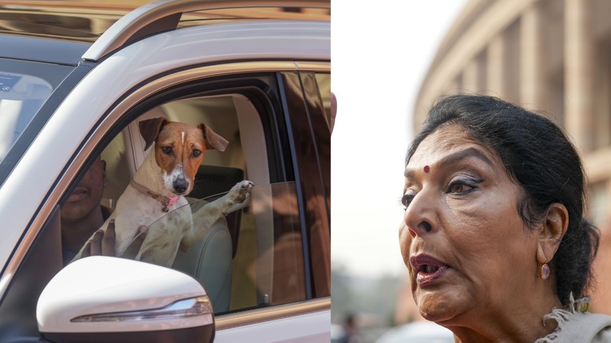 Video: On row over bringing her pet dog in Parliament, Congress MP's ...