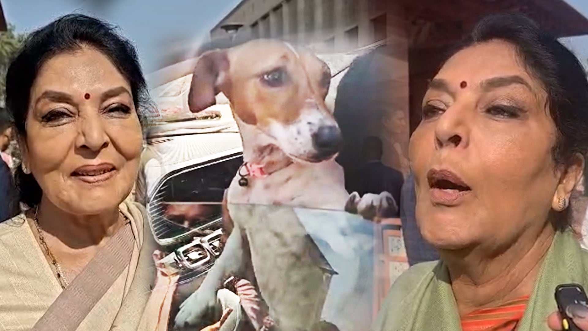 "Bhow Bhow": Congress' Renuka Chowdhury 'Barks', Defiant After Dog Remark