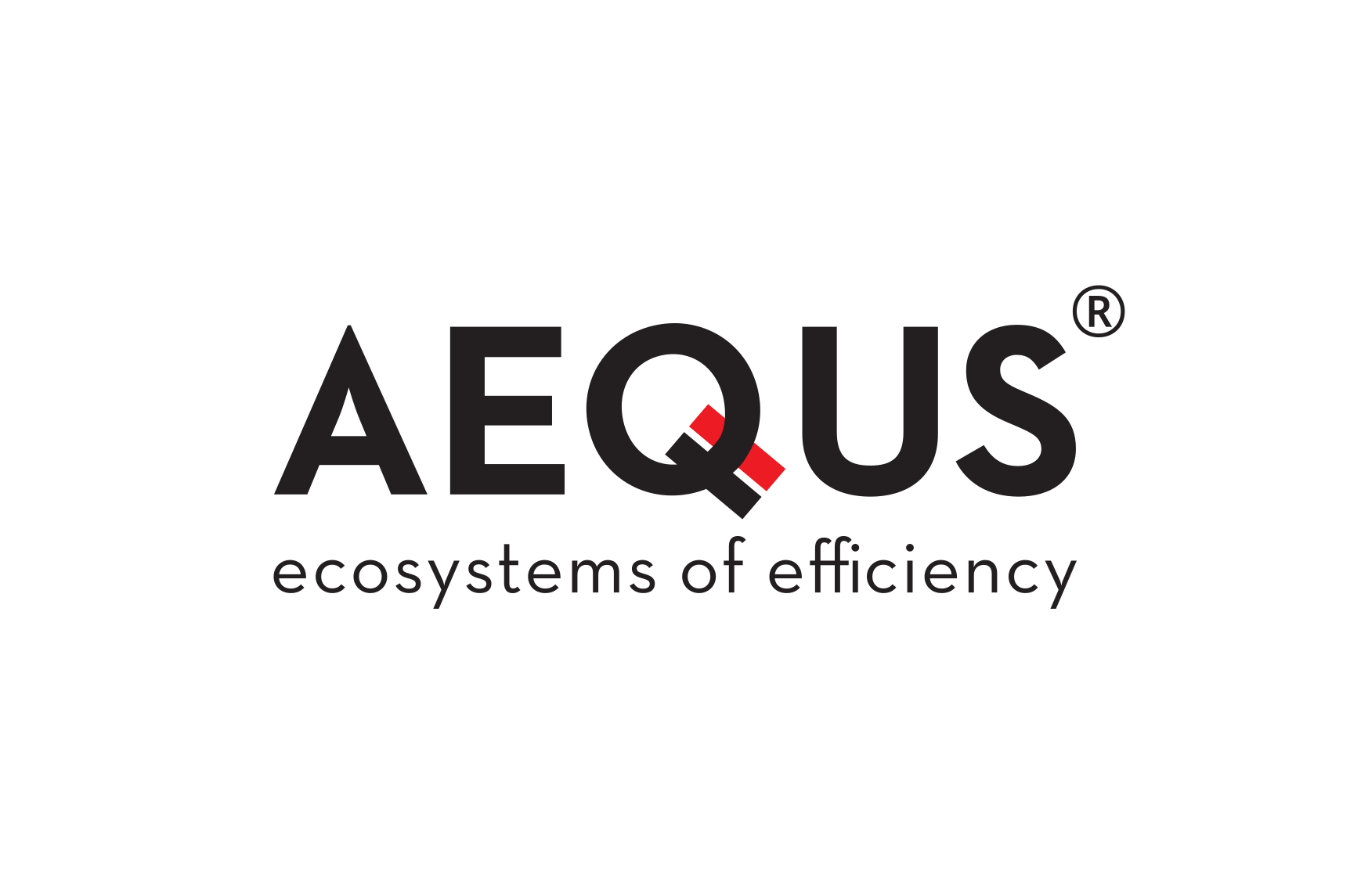 Aequs: A Rs 922 crore IPO at the heart of India's $3 billion aerospace ...