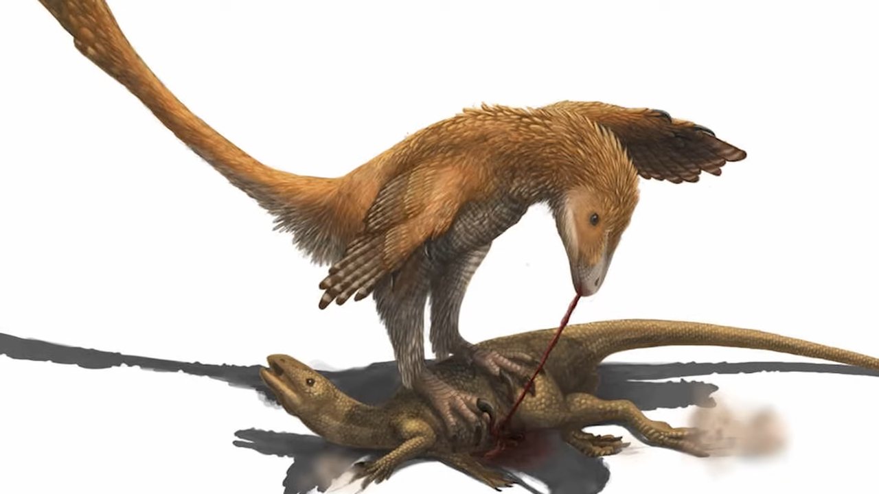 The evolutionary twist that rewrote the fate of Earth’s most iconic ...