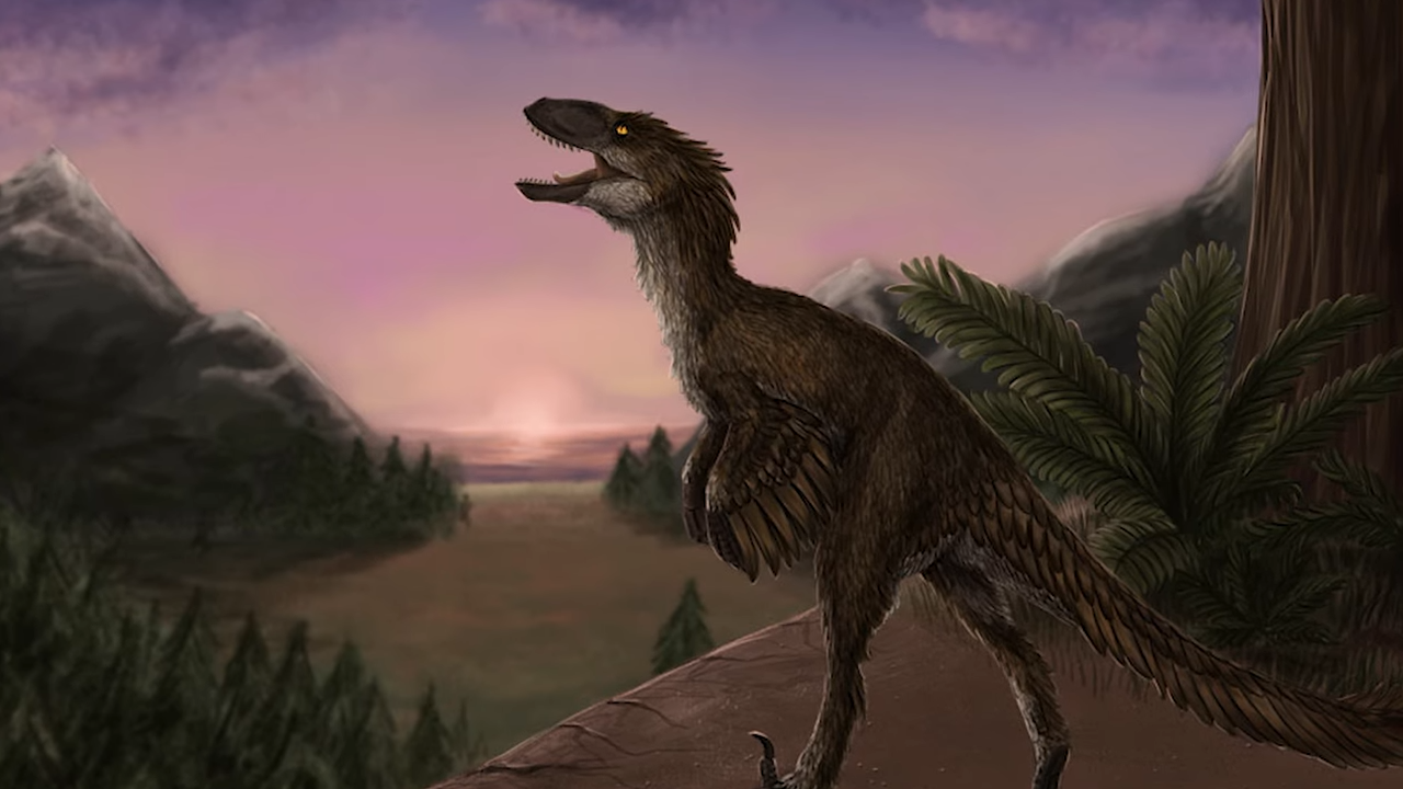 The strange secrets hidden in the bones of Mesozoic raptors