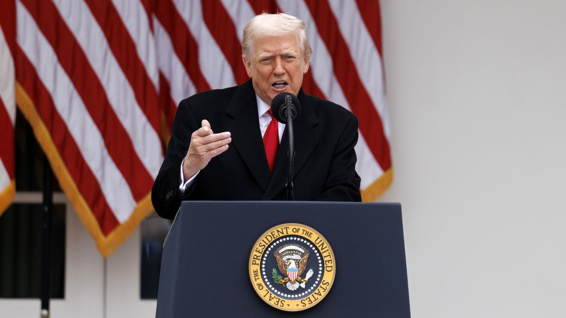 Donald Trump says Stephen Colbert should be put to sleep