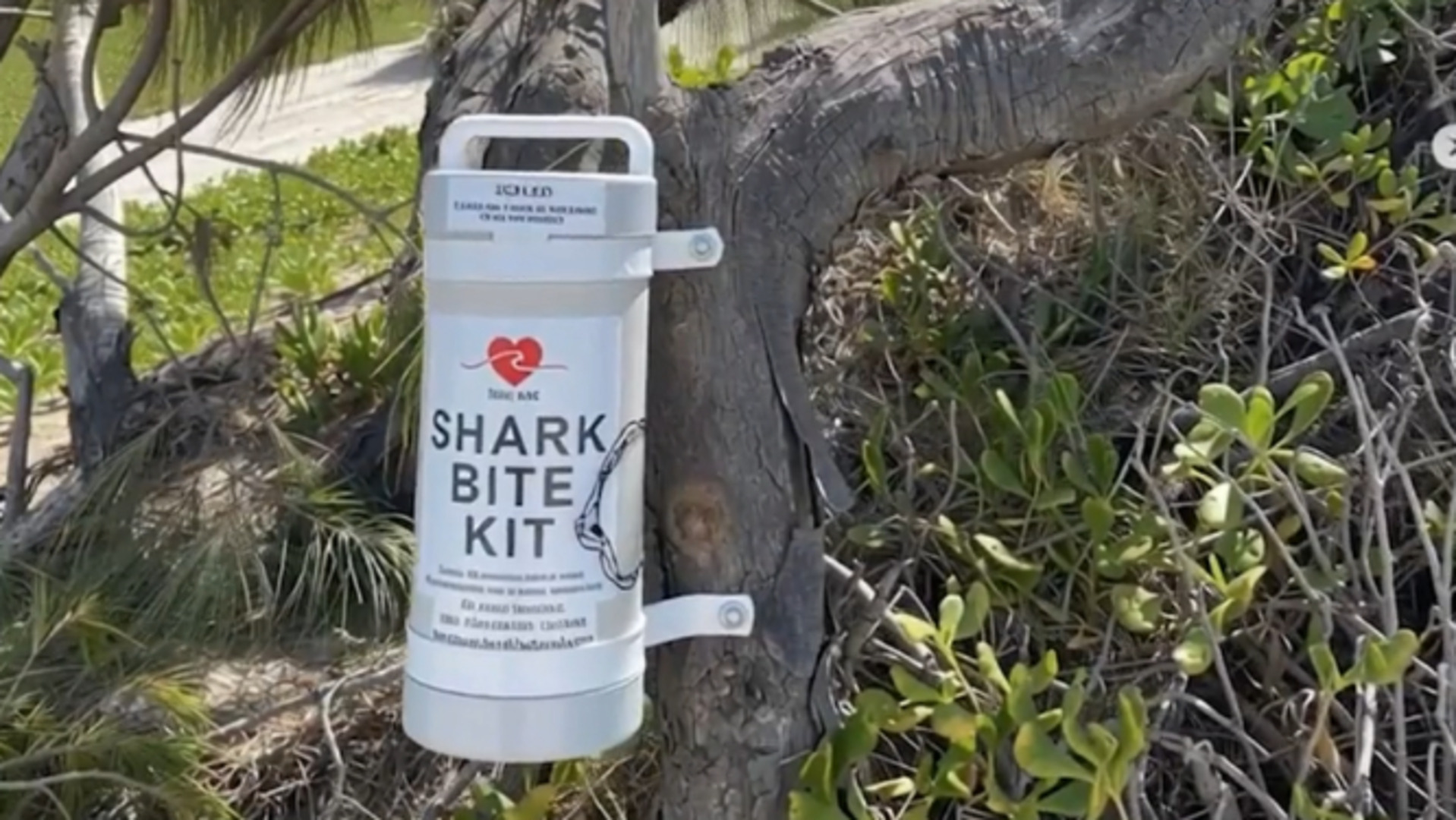 Shark attacks shouldn’t be left up to ‘luck anymore’