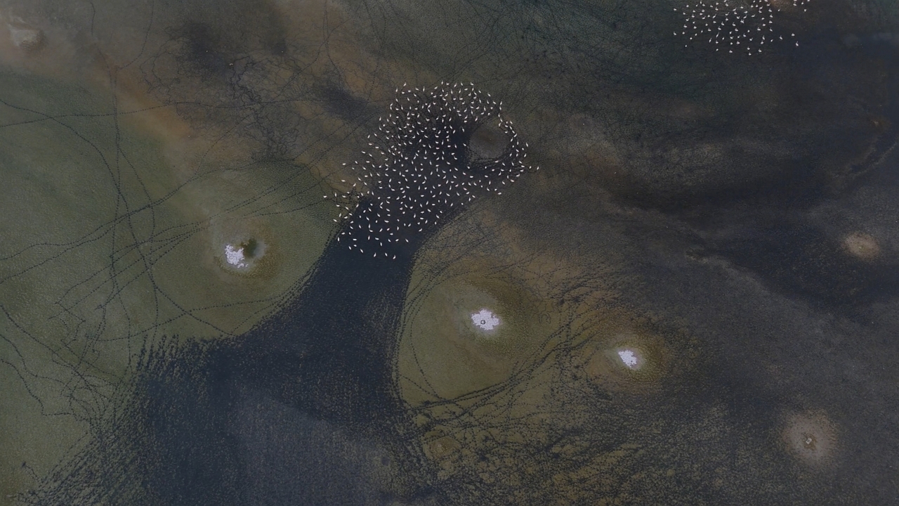 Flamingos create stunning patterns at Maharlu Lake, Shiraz, Iran