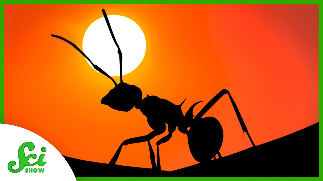 The climate crisis is changing the circle of life