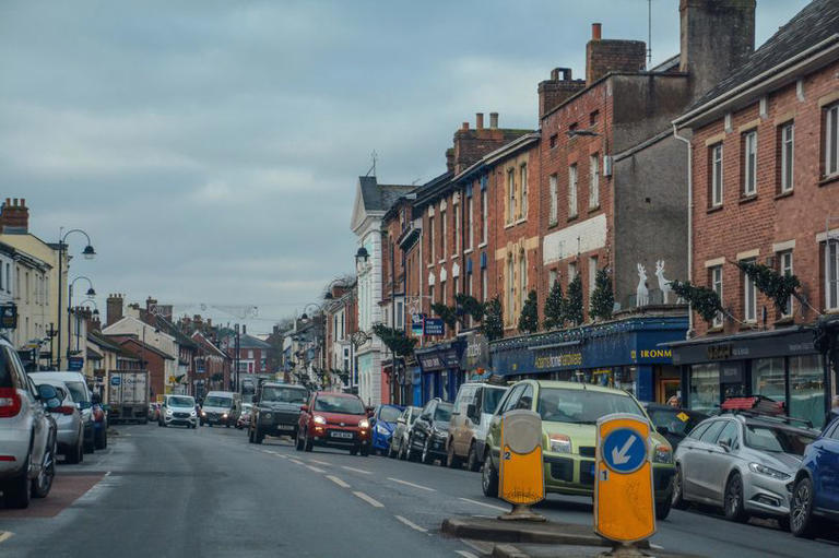 Devon woman used her dog to escape police