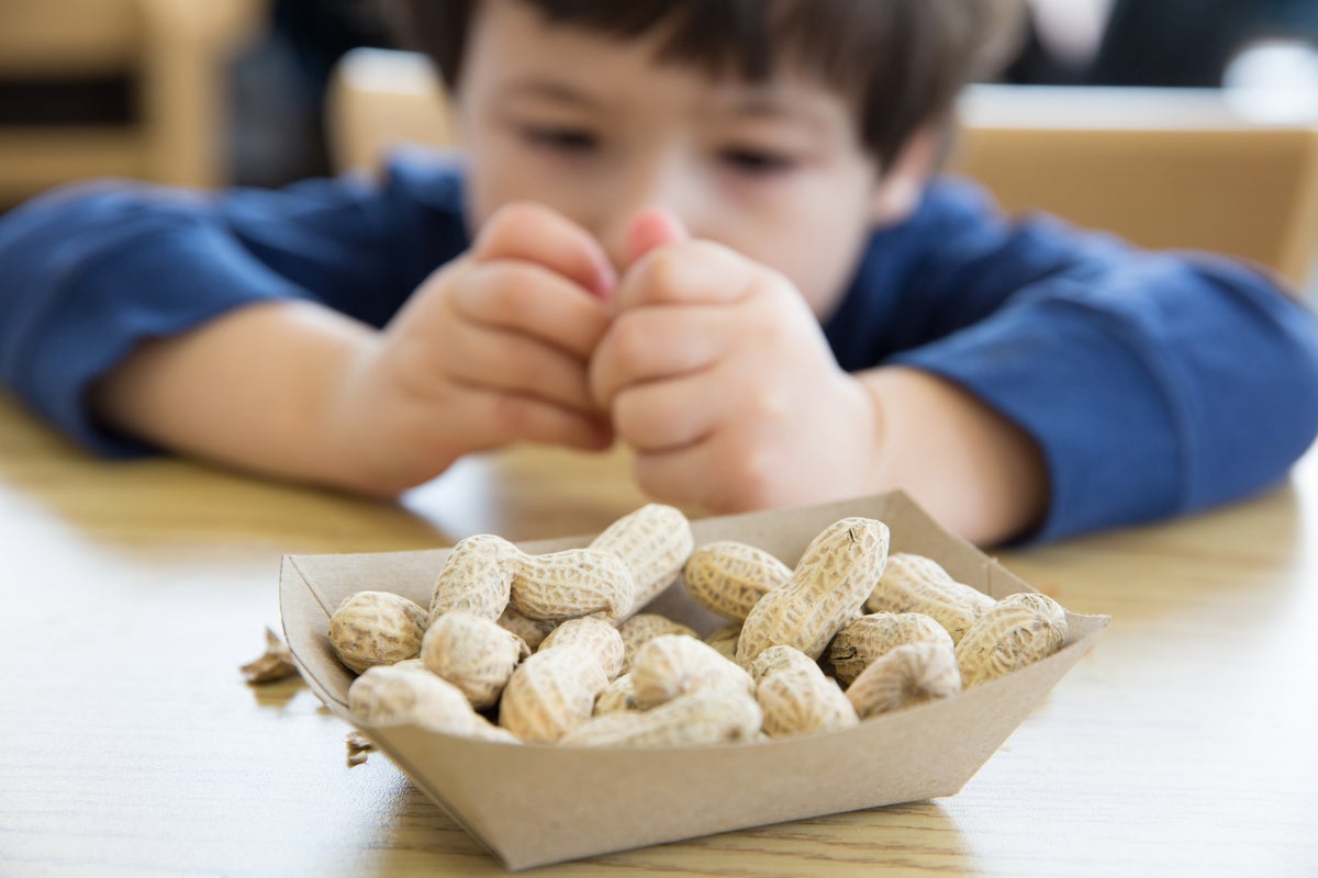 The common snack that helped enhance memory and brain function