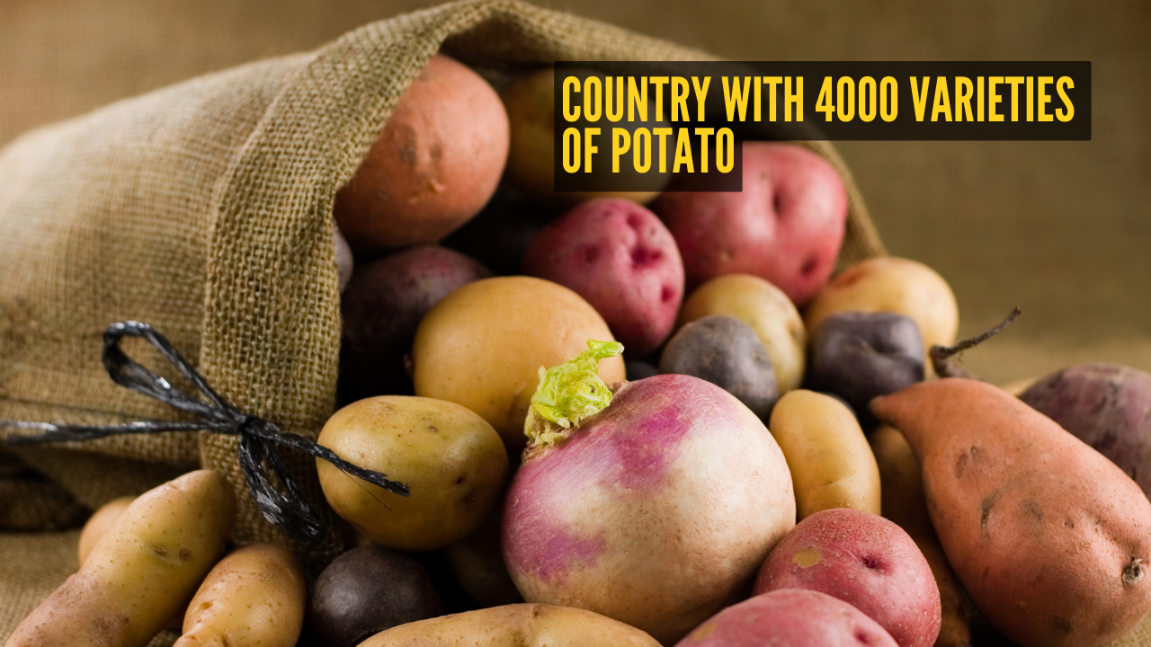 This country is home to 4000 varieties of potatoes, and no, it is not ...