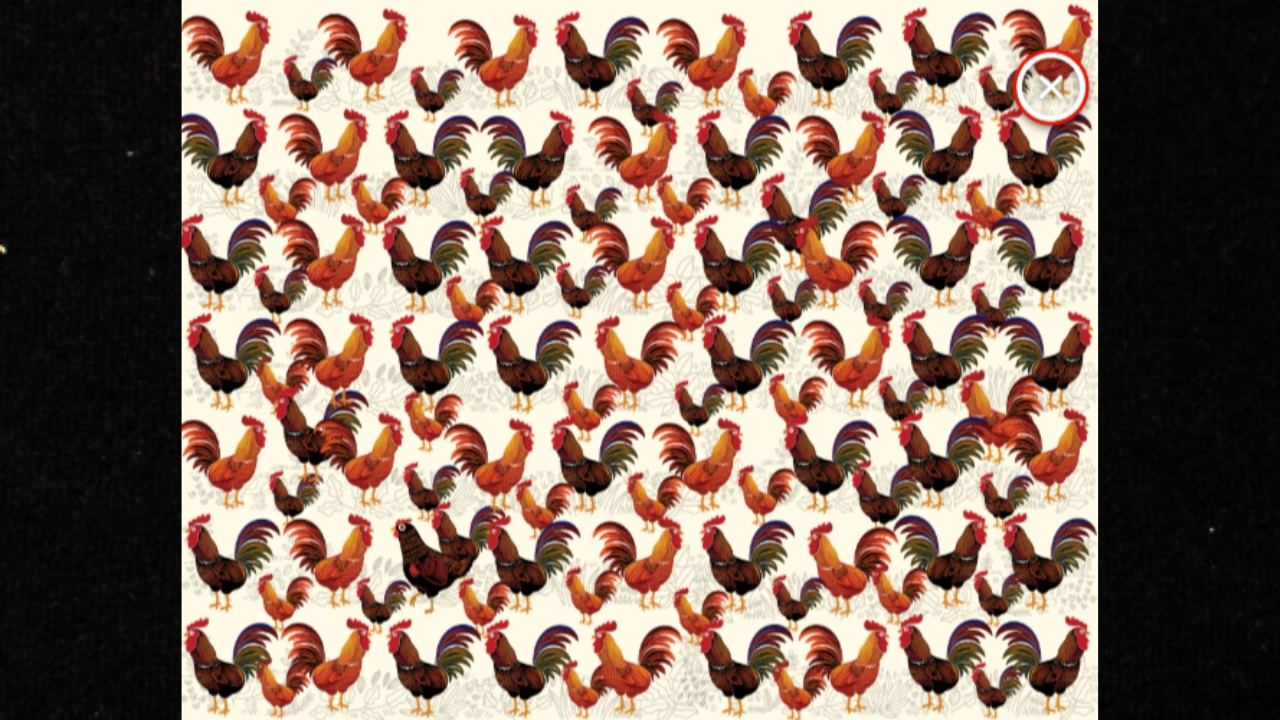 Optical Illusion: Can You Spot The Chicken Among Roosters? You Have 10 ...