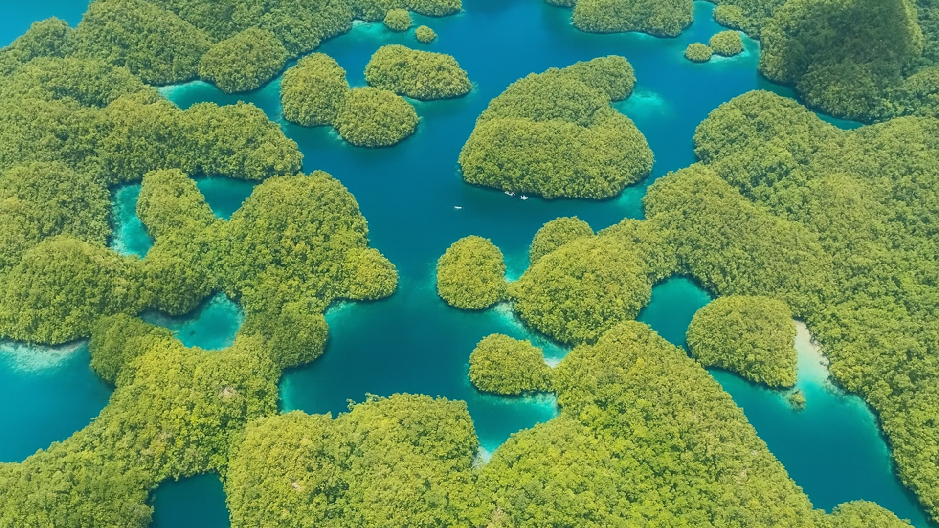 A Csendes-óceán természeti labirintusa