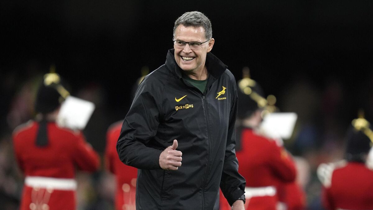 Donal Lenihan: Springboks supremacy aided by eight man bench - does ...