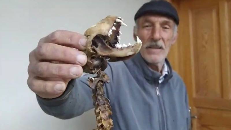 Ahırında 55 santimetrelik hayvan iskeleti buldu: İlk kez böyle bir şey ...