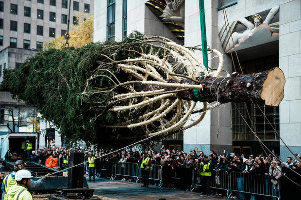 Rockefeller Center tree lighting thrills hundreds as crowds flock to ...