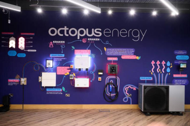Octopus Energy issues 'record breaking' announcement for all UK customers