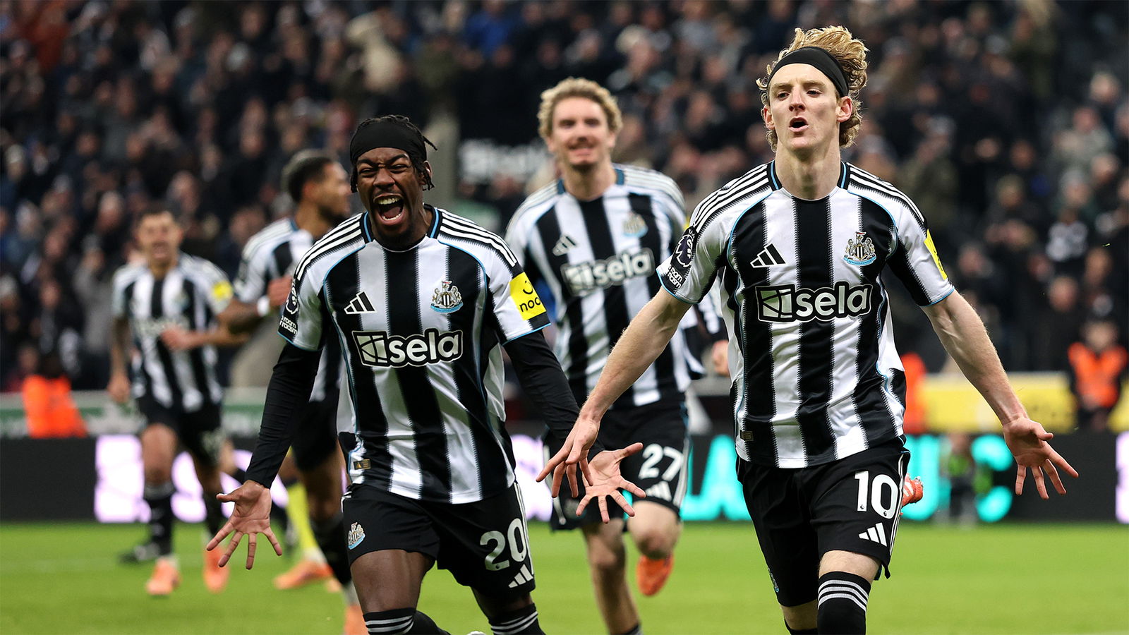 Newcastle 2 Spurs 2 match ratings and comments on all Newcastle United ...