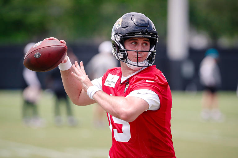 Falcons try out quarterback, two wide receivers ahead of Week 14