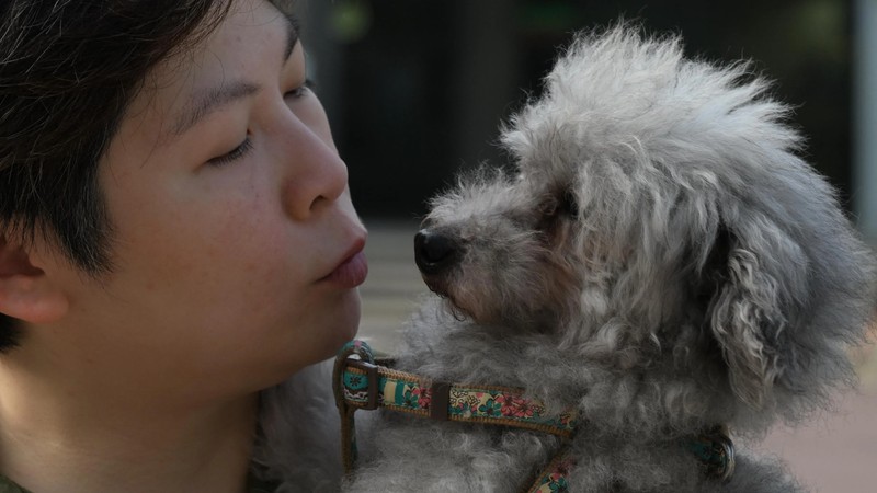 'Rescued my soul': Hong Kong firefighters save beloved pets