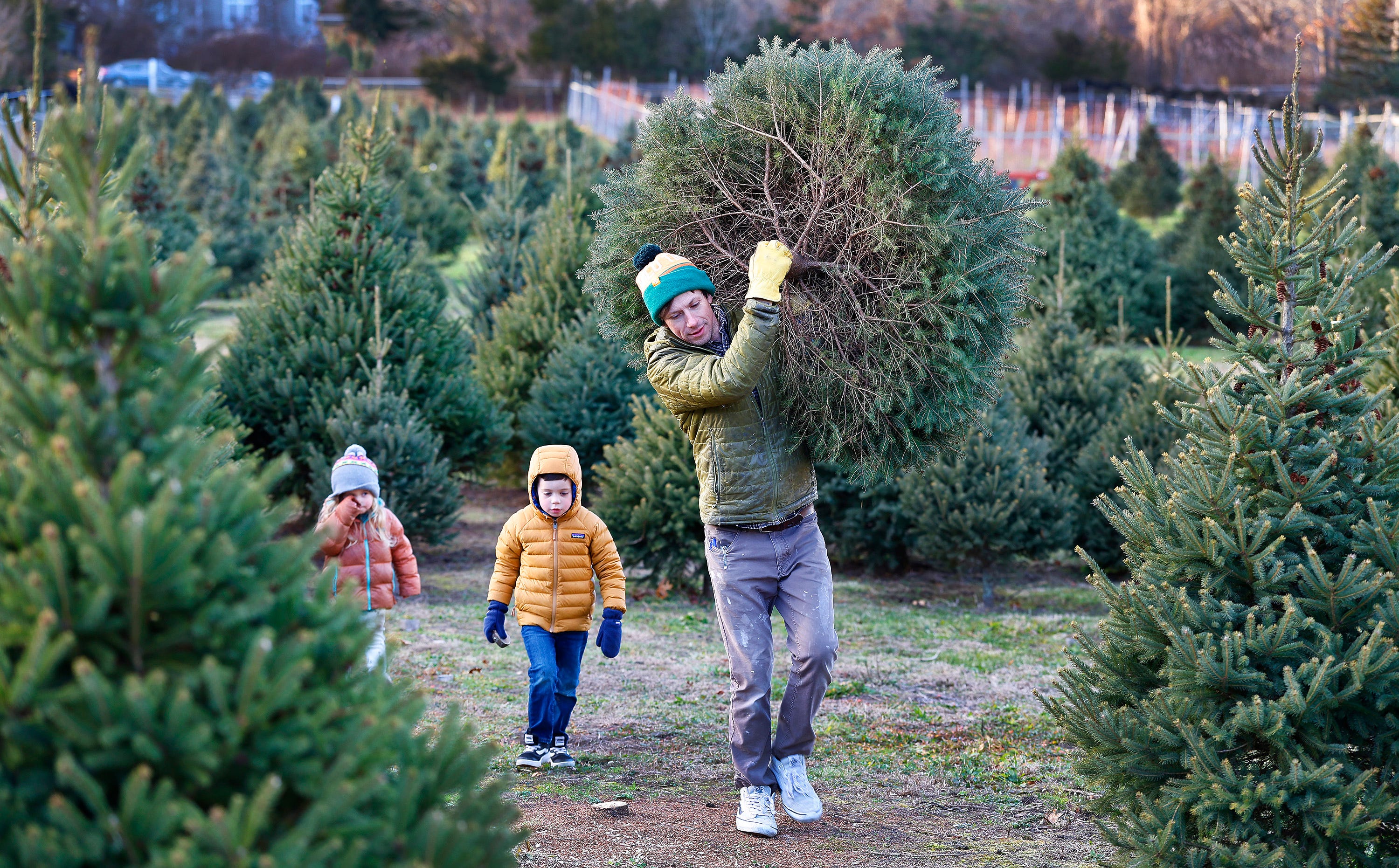 Too early for a Christmas tree? See list of Tree Farms and Tree Lots