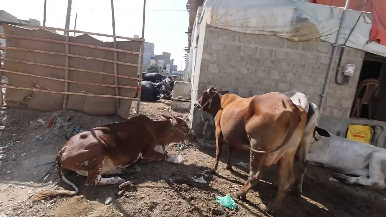 Life inside Pakistan’s largest slum