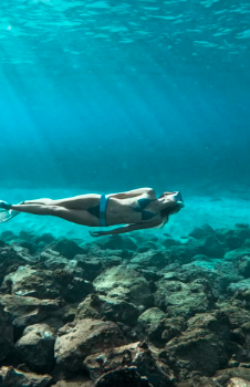 The Ugliest Shell in the Ocean? Just Wait Until You See It