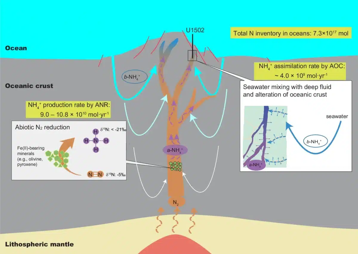 Scientists Find First Natural Evidence Of Chemical Reaction That May ...