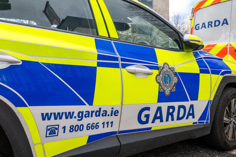 Man (21) who died in suspected hunting accident in rural Carlow is ...